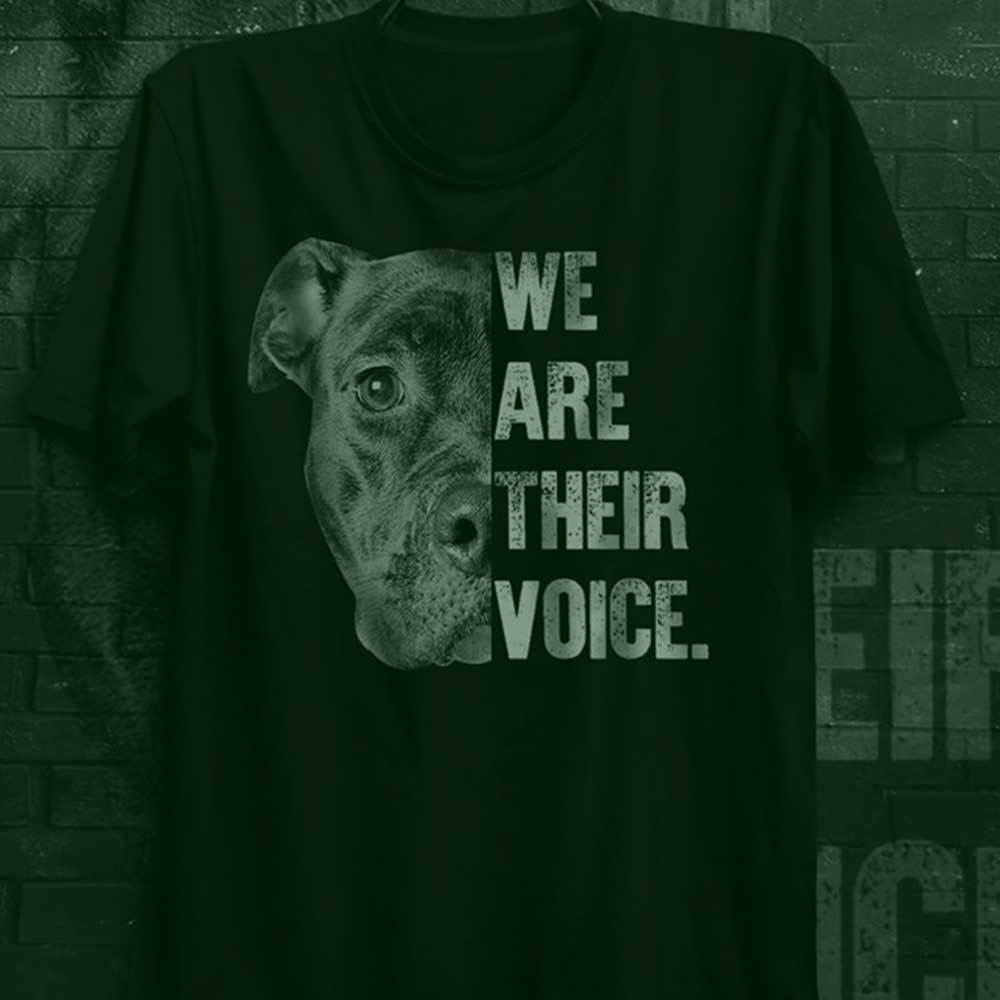 Pit Bull - CM Things